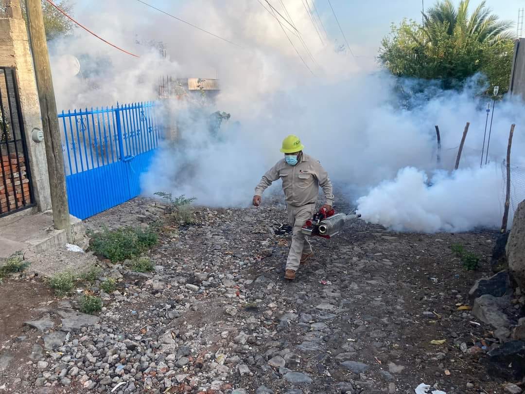 SSM continúa con el combate contra el dengue en municipios de Michoacán - Ahuizote