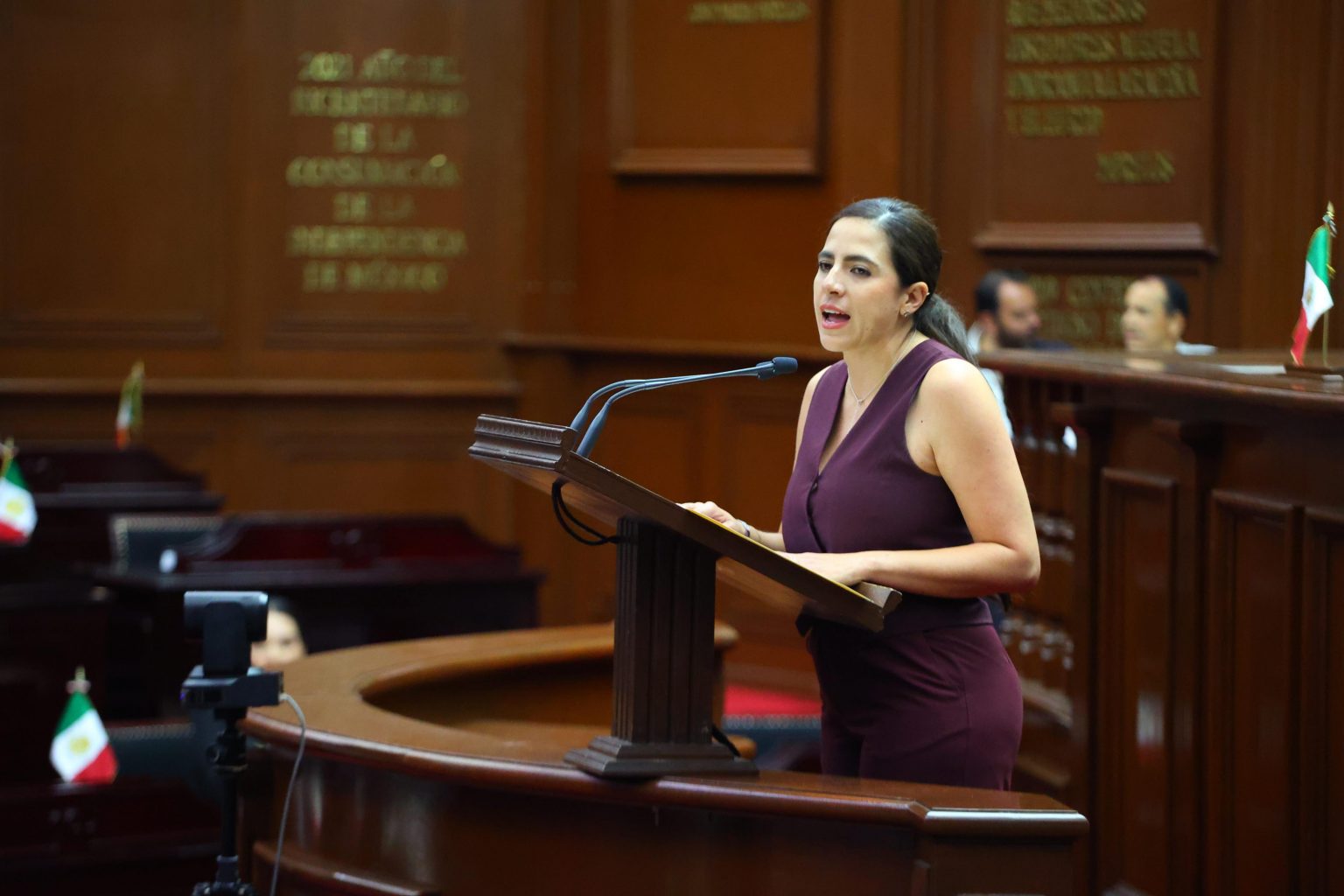 Diputada Bugarini vota por un Poder Judicial cercano al pueblo y no a la burguesía - Ahuizote